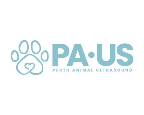 Introducing Perth Animal Ultrasound (PAUS): Enhancing Veterinary Care ...