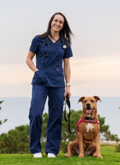 Veterinarian In Perth, WA | Perth Animal Ultrasound