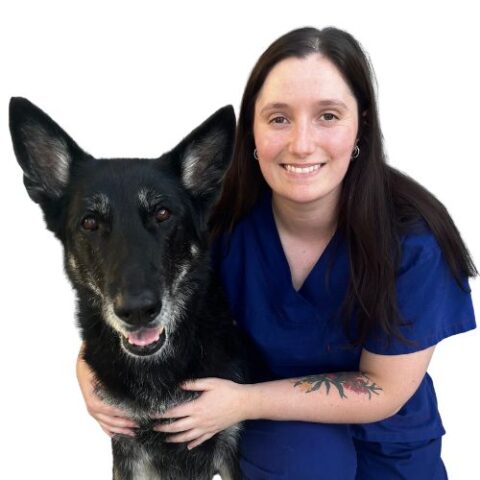 Veterinarian In Perth, WA | Perth Animal Ultrasound